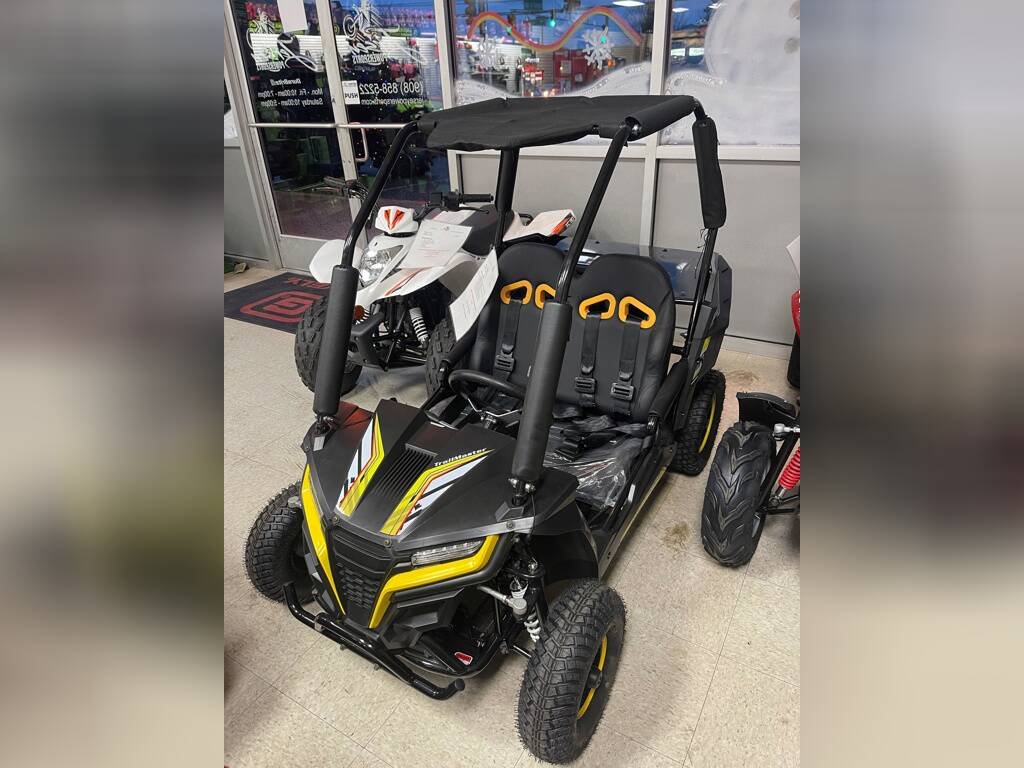 2023 Trailmaster Cheetah I6 Electric – 3K GOLF CARTS